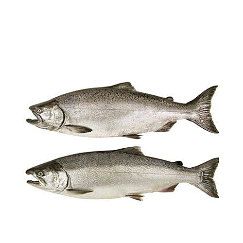 Buy Sakana Fish - Indian Salmon 1 kg (Fry Cut) Online at Best Price. of ...