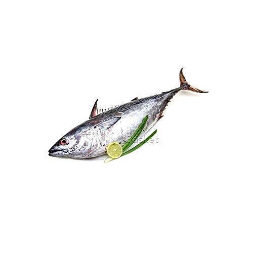 Buy Suresh Fish Point Fish - Tuna Online at Best Price of Rs null ...