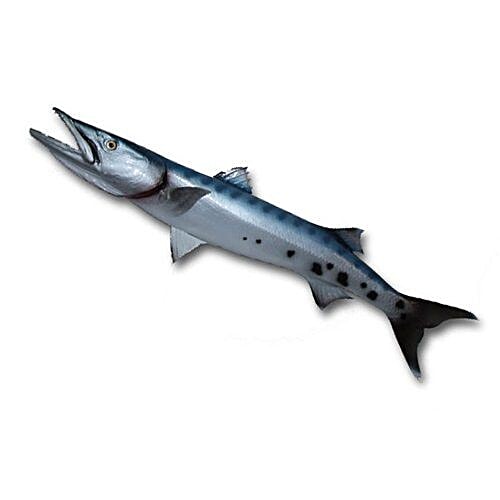 Buy Meat Mart Fish - Seela Online at Best Price of Rs null - bigbasket