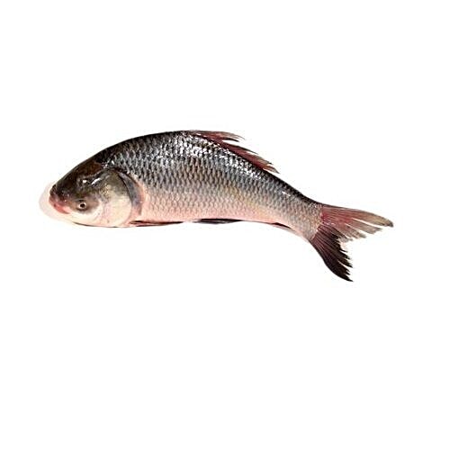 Buy S.S.R FISH MARKET Fish - Catla Online at Best Price of Rs null ...