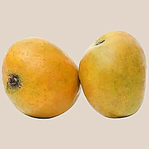 Buy Mangoes Online: Alphonso, Hapus, Kesar, Dasheri Mangoes at Best ...