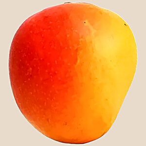 Buy Mangoes Online: Alphonso, Hapus, Kesar, Dasheri Mangoes at Best ...