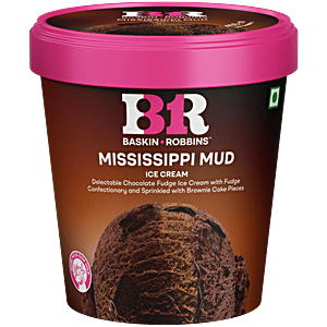 Buy Baskin Robbins Ice Cream Rocks Mississippi Mud Online at Best Price ...