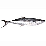 Buy fresho! Seer Fish (Small) - Boneless Online at Best Price of Rs ...