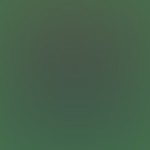 Buy Gynae C.V.P Gynae C.V.P Capsule Online at Best Price of Rs 51 ...