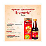 Buy Dabur Dabur Broncorid Syrup | For Chronic & Allergic Cough & Common ...
