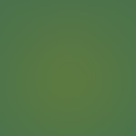 Buy Yogi Yogi Adulsa Cough Syrup | Helps Relieve Cough, Sore Throat ...