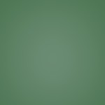 Buy Noblok Noblok Nasal Spray Online at Best Price of Rs 55 - bigbasket