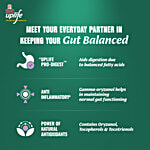 Buy India Gate Uplife Gut Pro Multi-Source Edible Oil Online at Best ...