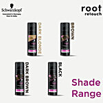 Buy Schwarzkopf Root Retouch Temporary Root Cover Spray - Instant Grey ...