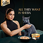 Buy Sheba Complete Nutrition For Cats Suculent Chiken Breast N Gravy 85 ...
