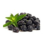Buy Fresho Blackberry Imported 125 Gm Online At Best Price of Rs 894.96 ...