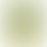 Buy Sugar Watchers Low GI Rice | Diabetic Friendly White Rice | US FDA ...