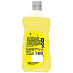 Buy Lizol Cement Surface Disinfectant Cleaner - Lemon Online at Best ...