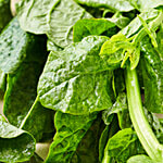 Buy fresho! Basale Leaf Online at Best Price of Rs 23.76 - bigbasket