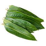 Buy fresho! Mango Leaves - Used To Decorate, For Festivals & Puja ...