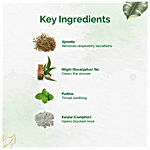 Buy Dr. Vaidyas Inhalant - Camphor & Eucalyptus, Provides Relief From ...