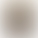 Buy WOW Life Science Plant Based Protein Powder - Chocolate Flavour ...