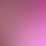 Buy Borécha Icey Rose Vanilla Sparkling Iced Tea Online at Best Price ...