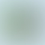 Buy NATURES PLUS 5 Pattern Water Spray Gun Online at Best Price of Rs ...