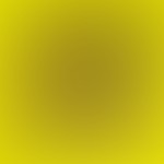 Buy House of Festivals Detailed Work Garba Jacket - For Women, Perfect ...