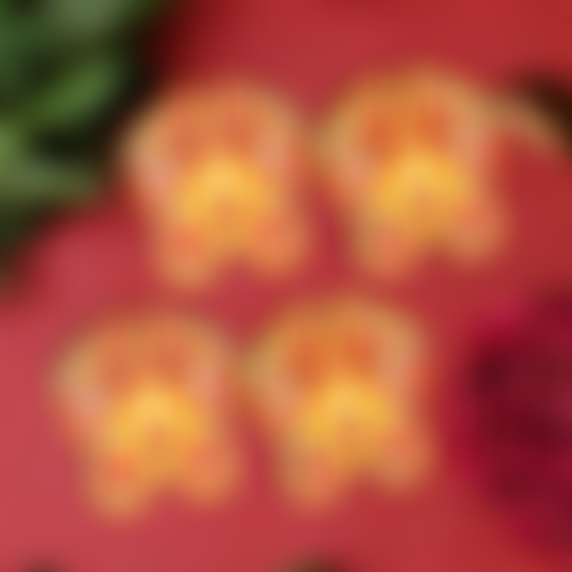 Buy eCraftIndia Lakshmi Charan Paduka Stickers For Home Office Puja ...