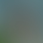 Buy boAt Bassheads 900 Pro Wired Headphones - Black Online at Best ...