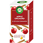 Buy Airwick Apple Orchard & Ceylon Cinnamon Scented Candle With Essential Oils Online at Best ...